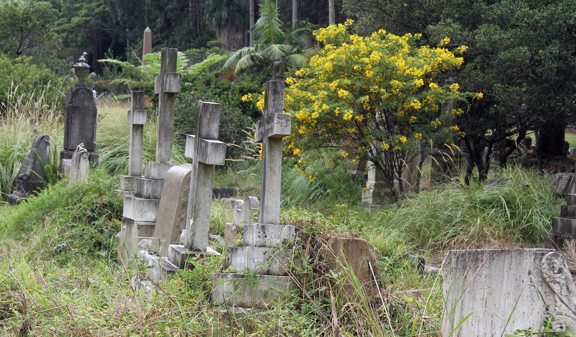 Gore Hill Cemetery | CityDays