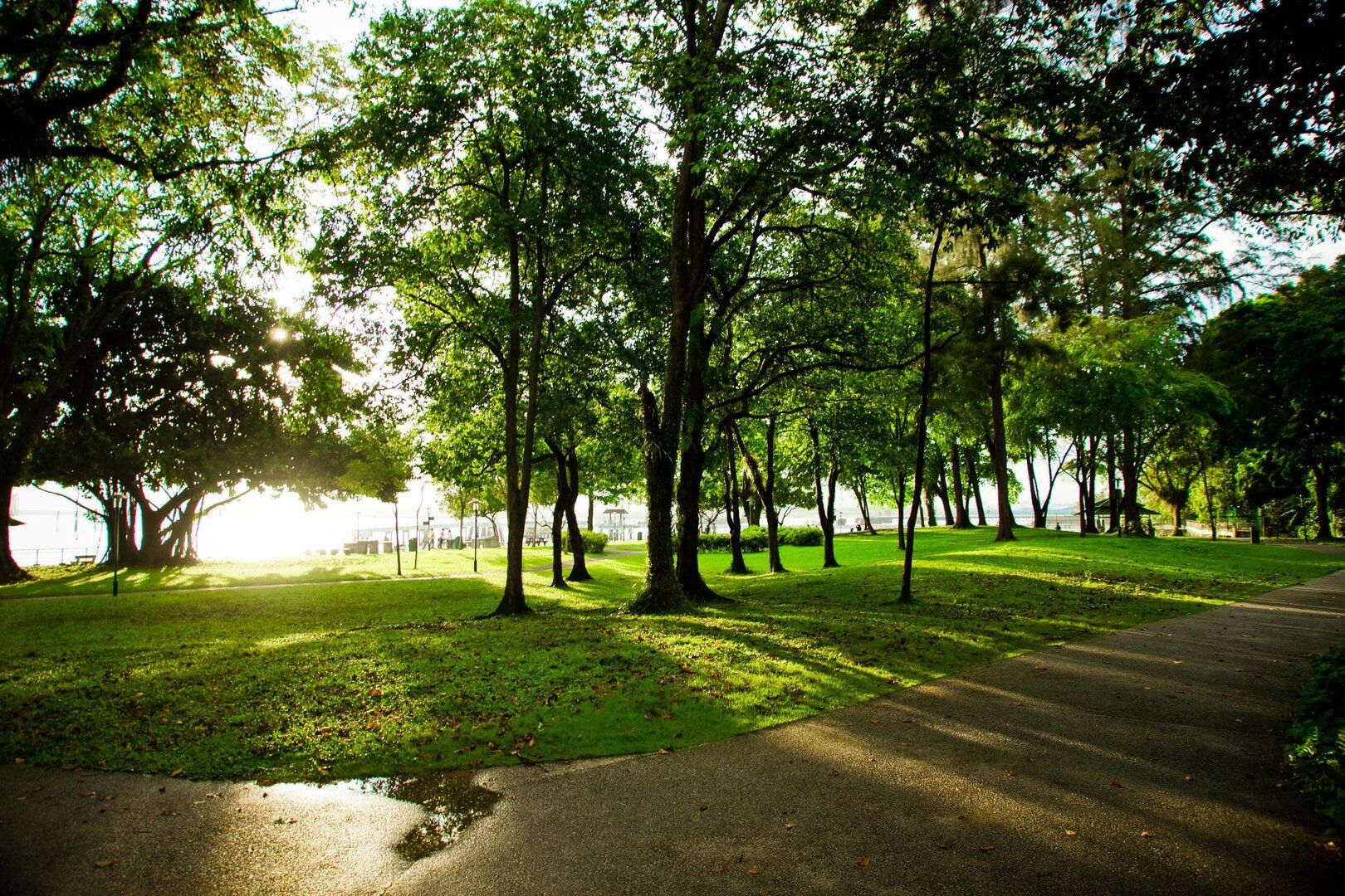 Labrador Park | CityDays
